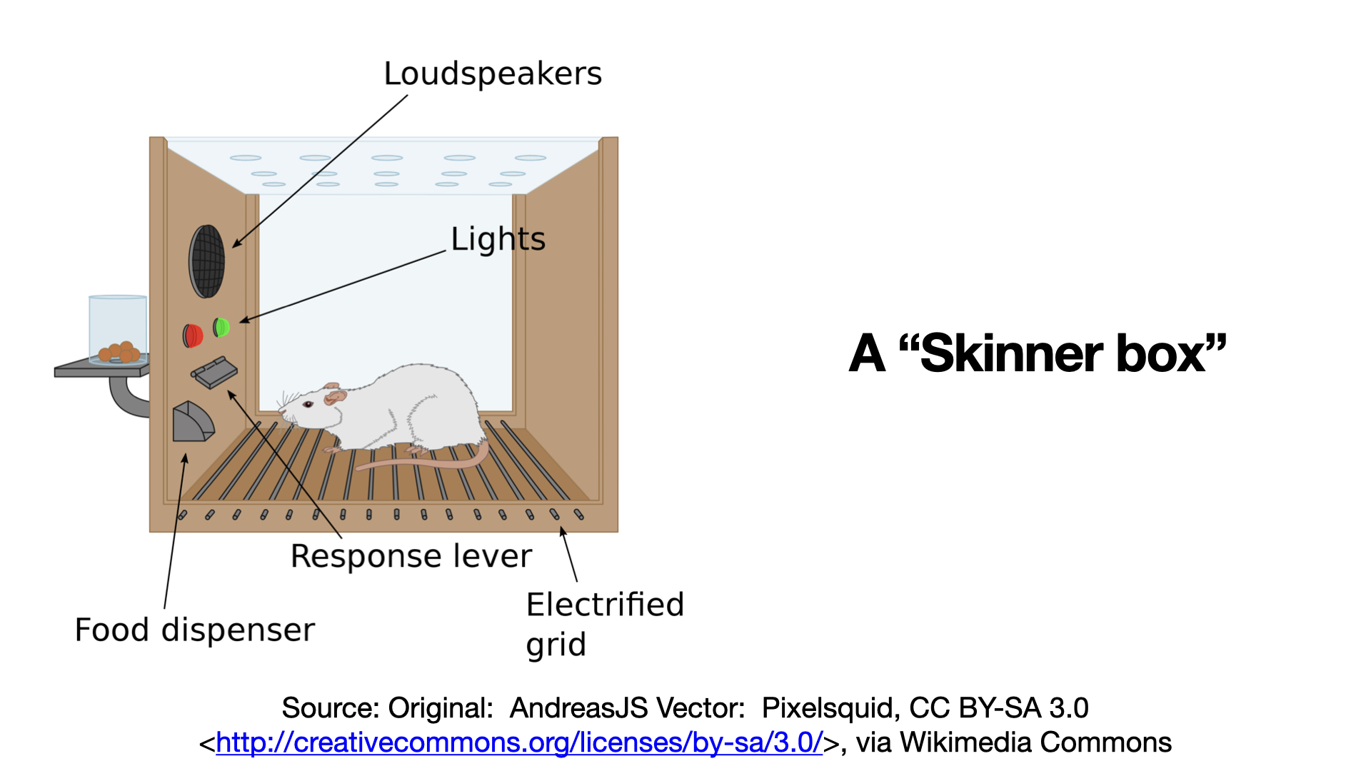 God-breathed 20: The Bread of Life – Farewell to Shadowlands